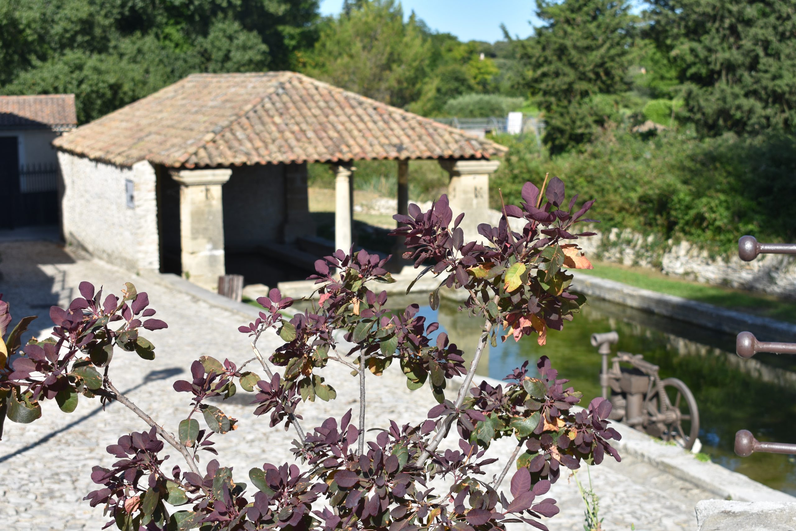 Découvrir Lirac - Ville de Lirac : Ville de Lirac